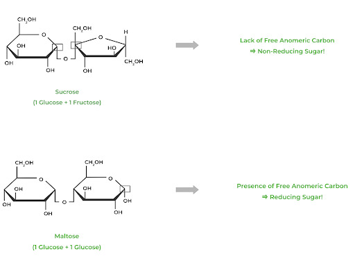 Carbohydrate Structure on the MCAT