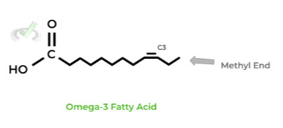 Fatty Acids: Structural Description and Function on the MCAT – MCAT Mastery